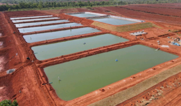 Best Management Practices for fish farming in Africa