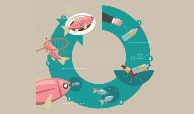 Microplastics in the sea, an invisible threat on our plates - Blue Life Hub Microplastics in the sea, an invisible threat on our plates - Blue Life Hub